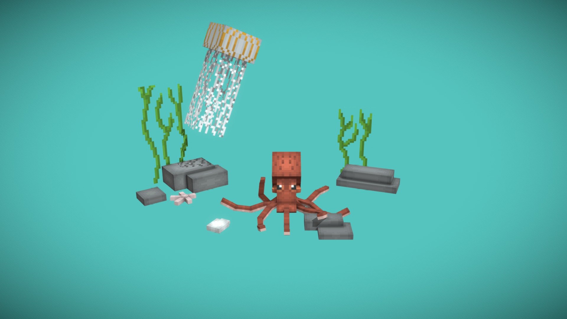 Trabalho de Biologia - Moluscos e Cnidários - 3D model by HeitorAO ...