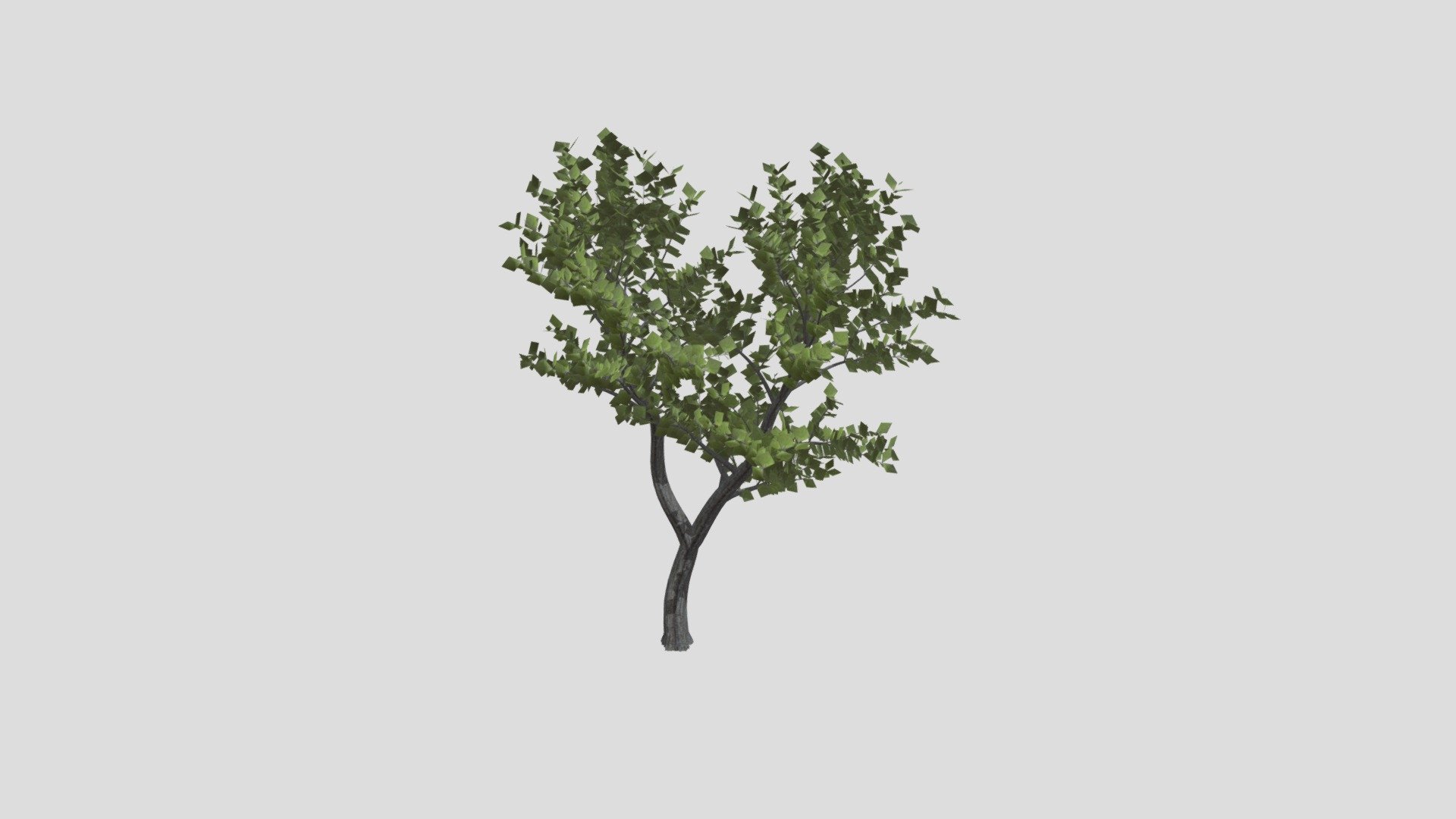 Tree - 3D model by shabanimate [5d00ee5] - Sketchfab