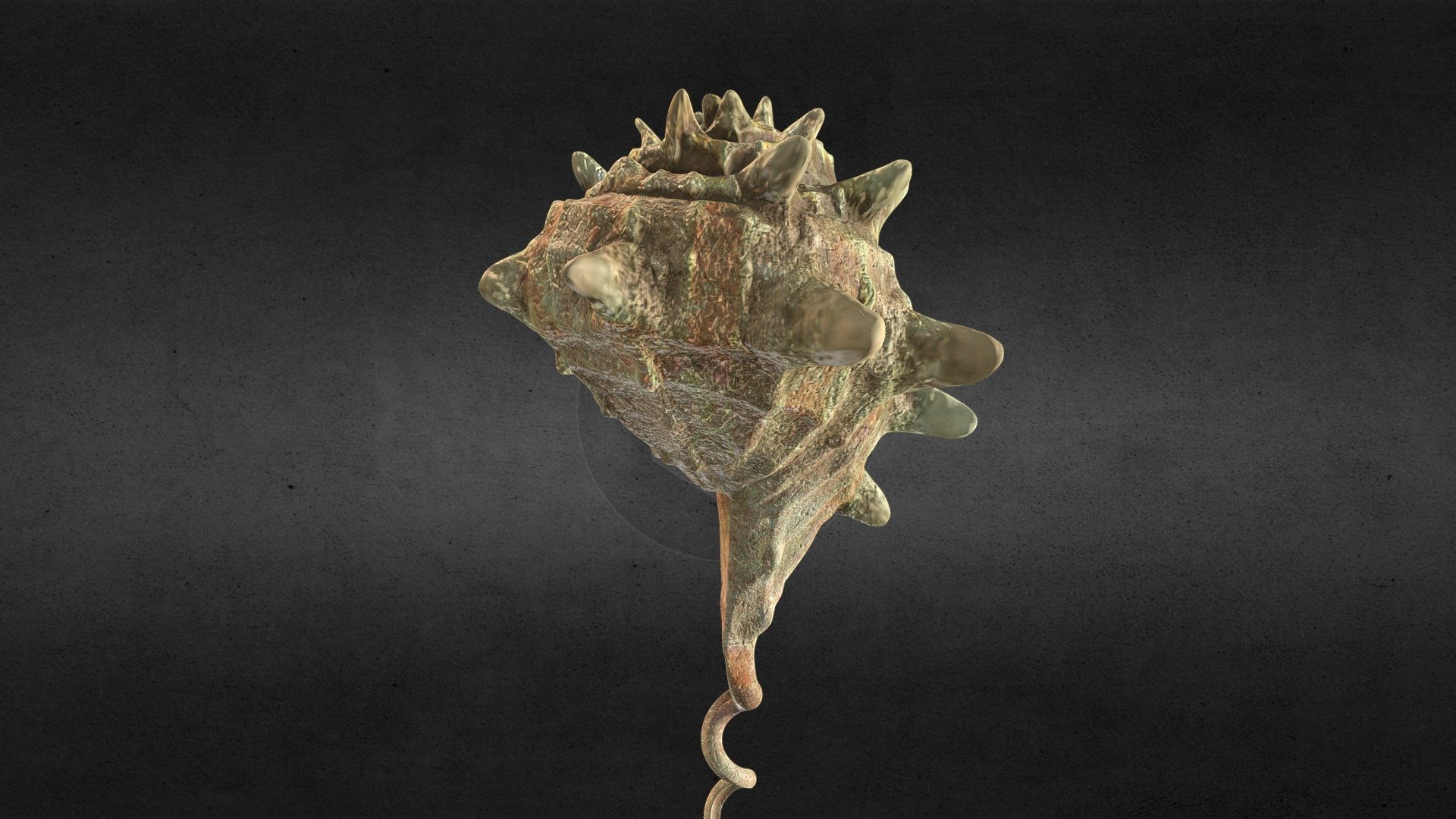 sea snail cork-screw - 3D model by NorbertNagy [5d0192c] - Sketchfab