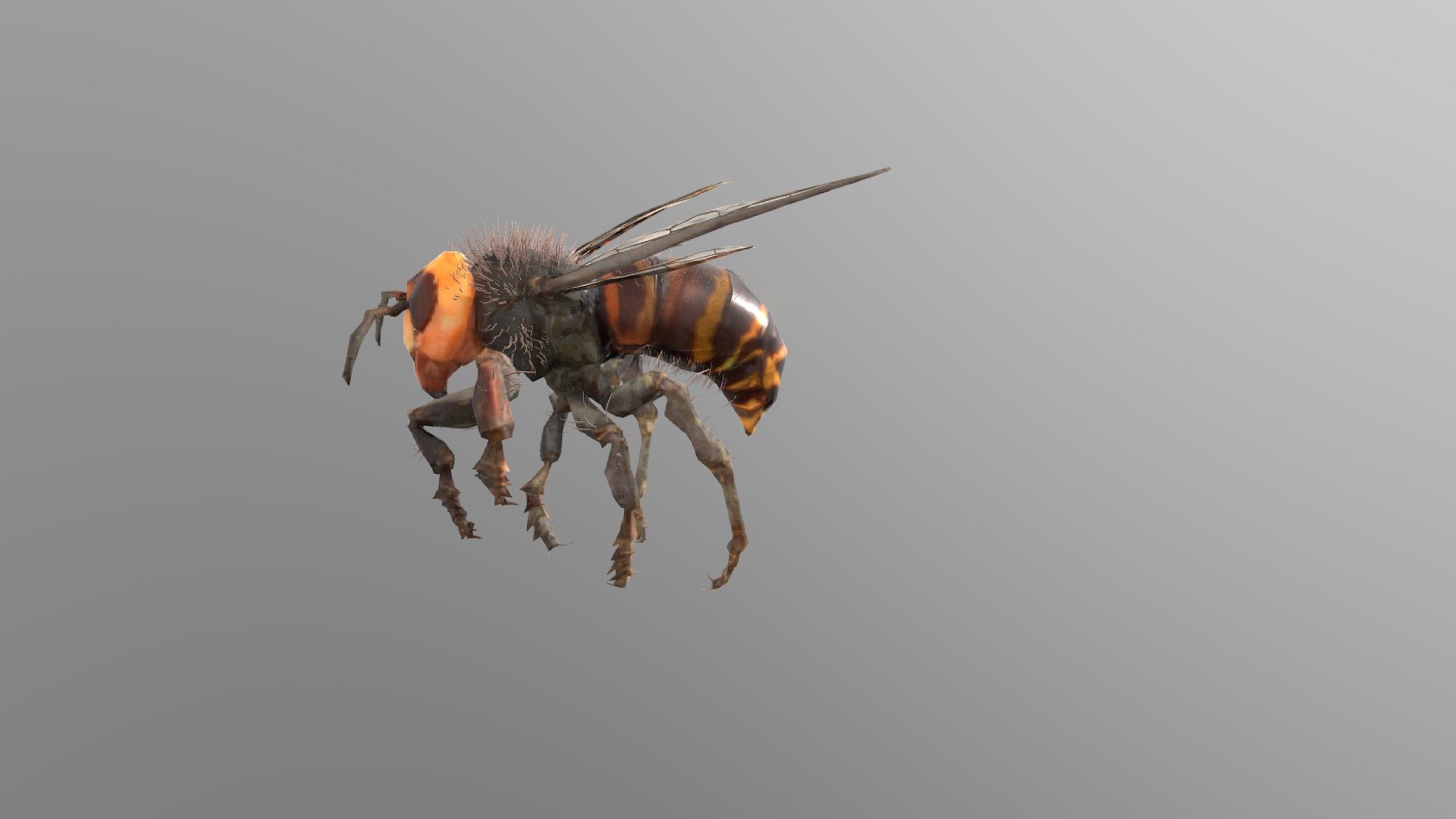 Bee - Download Free 3D model by 7SkyArtist [5d046a1] - Sketchfab