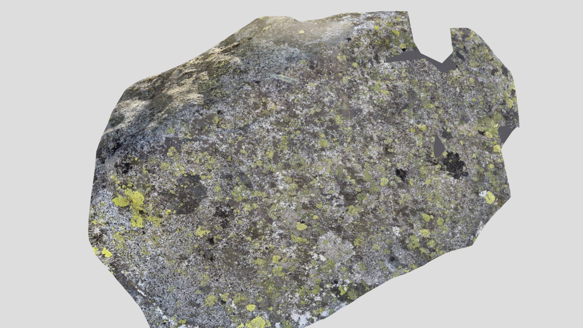 granite boulder surface with lichen - Download Free 3D model by California Academy of Sciences ...
