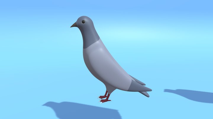 Dove 3D models - Sketchfab