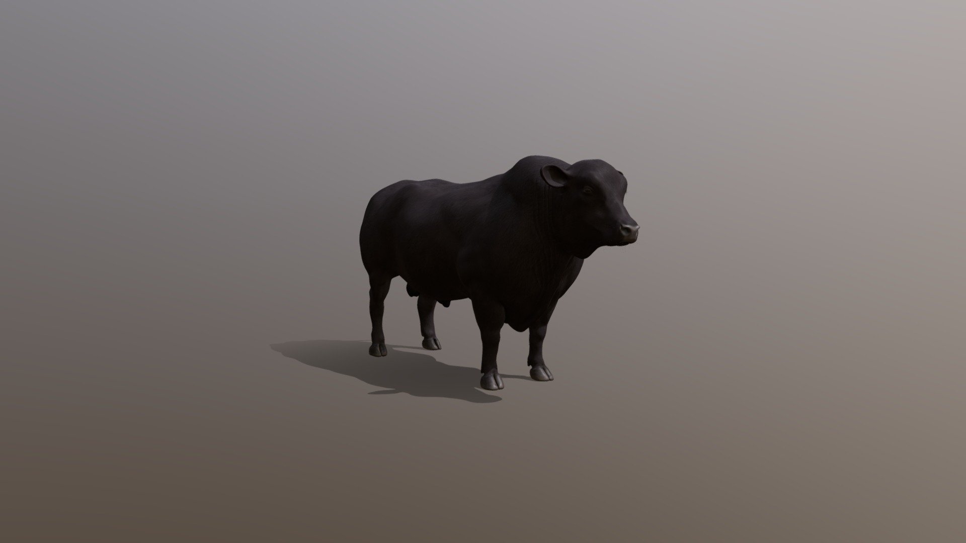ANGUS_IDLE - 3D model by A Z U B A | interactive visualizations (@azuba ...