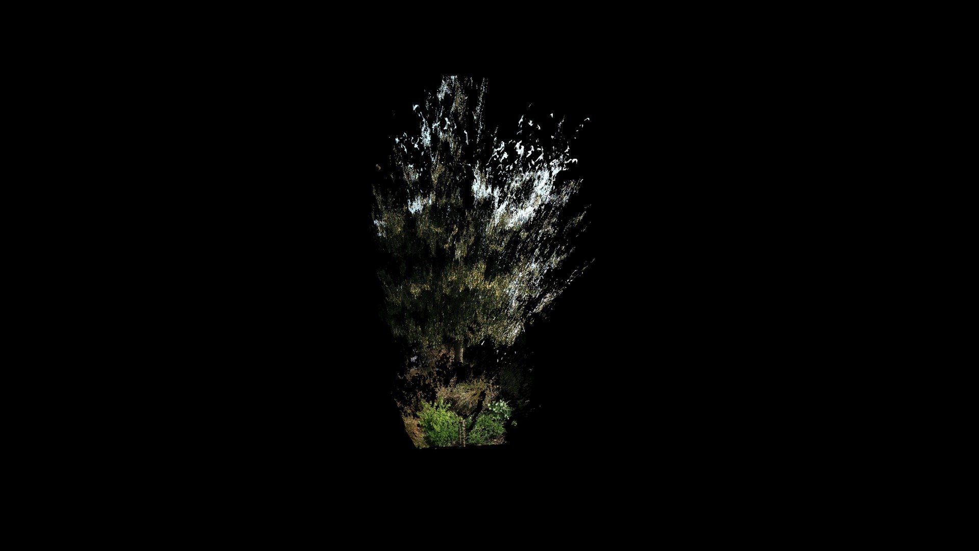 Dense Tree - Download Free 3D model by megrey [5d109c5] - Sketchfab