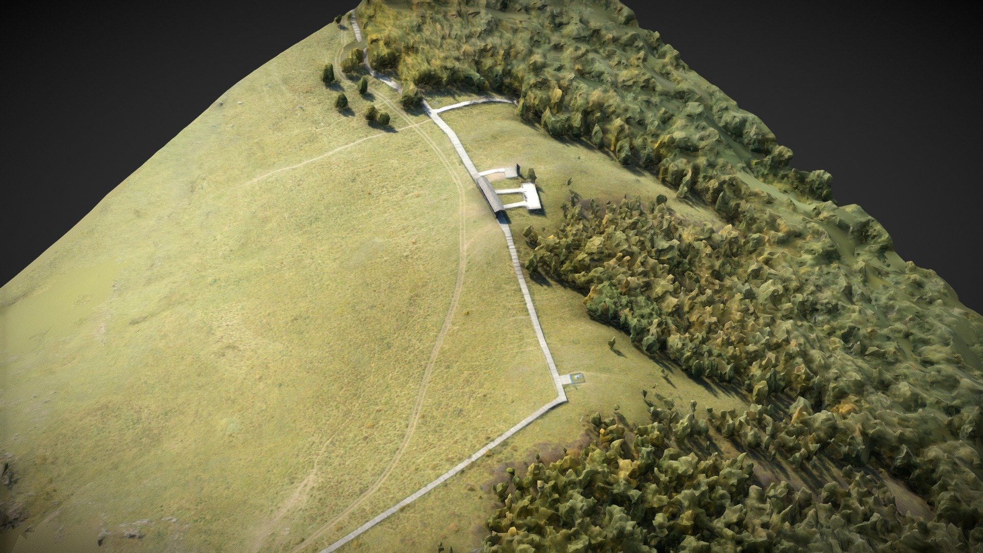 Forest, grassland hill and walkway - Download Free 3D model by Metazeon ...