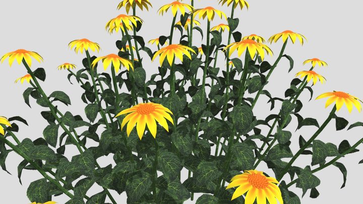 Tulip 3d Models Sketchfab