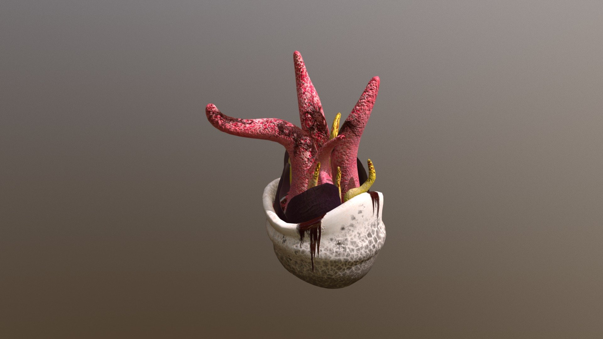 Alien Plant - 3D model by MarieNo [5d235cb] - Sketchfab