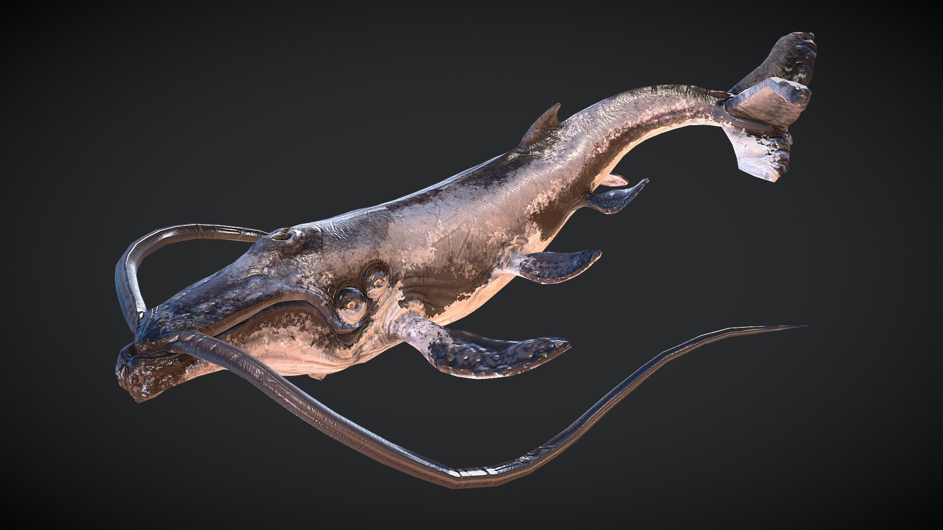 Whisker Whale - Download Free 3D model by Spinnee [5d2929e] - Sketchfab