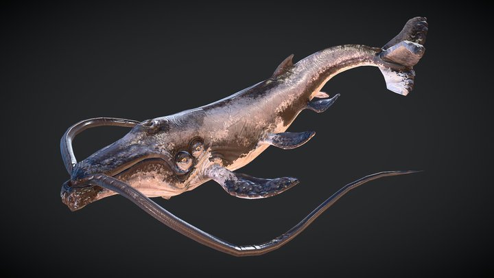 Fins 3D models - Sketchfab
