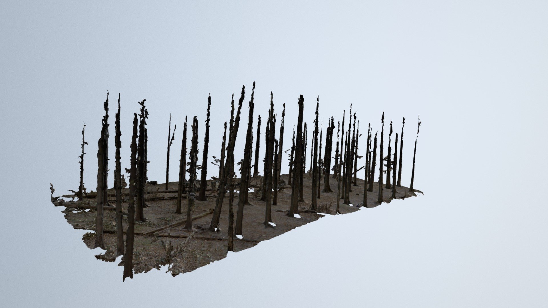 Forrest - Download Free 3D model by kampsolutions [5d2a49e] - Sketchfab