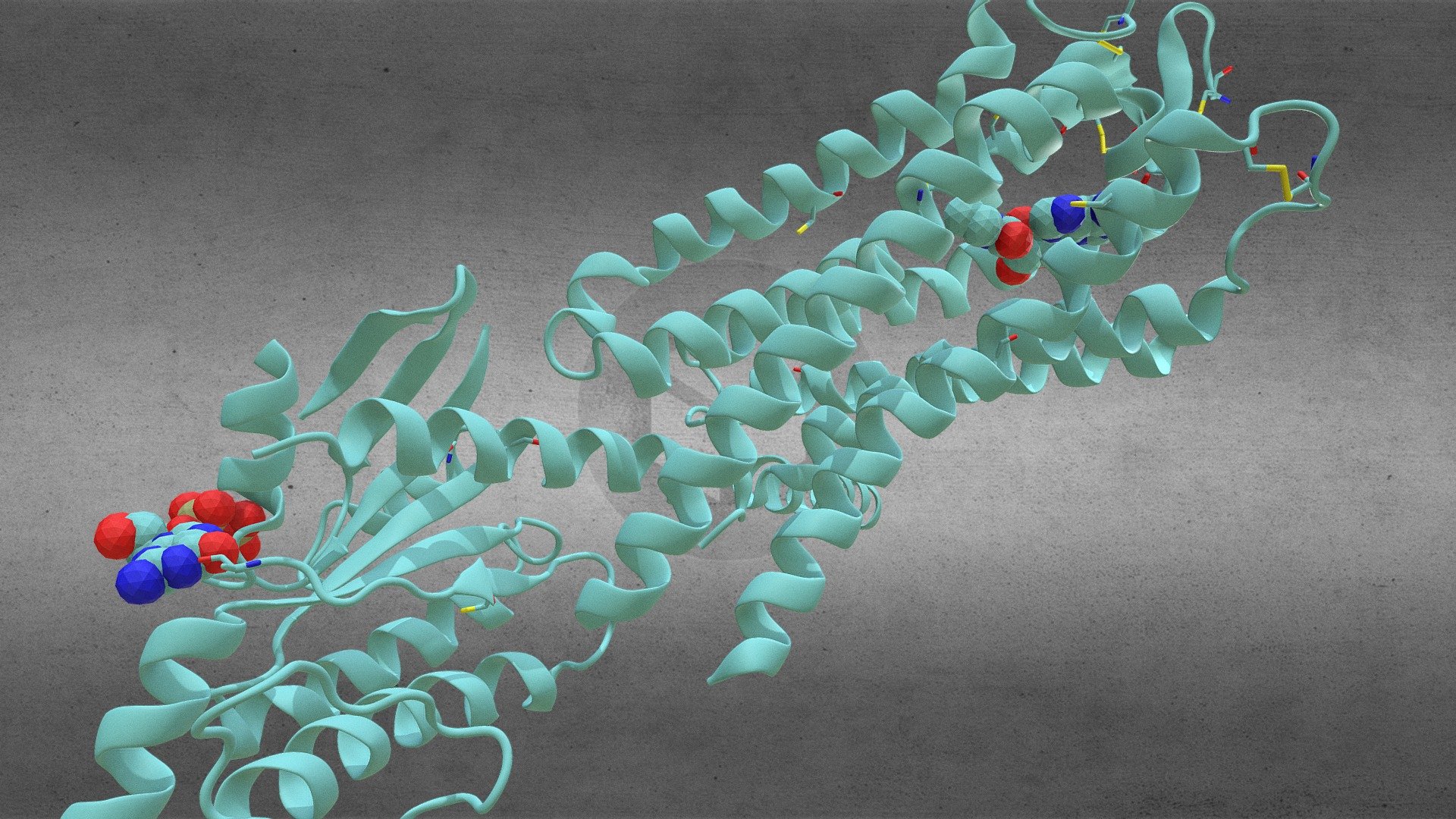 A model of the Adenosine Receptor:mini-Gs - 3D model by Nicolas Floquet ...