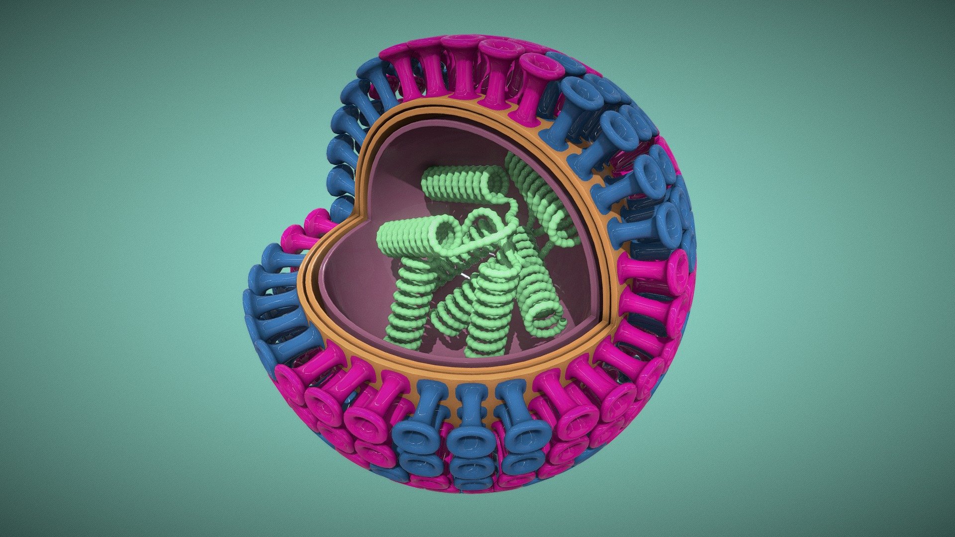 Influenza (Flu Virus) - Download Free 3D model by arloopa [5d3733b ...