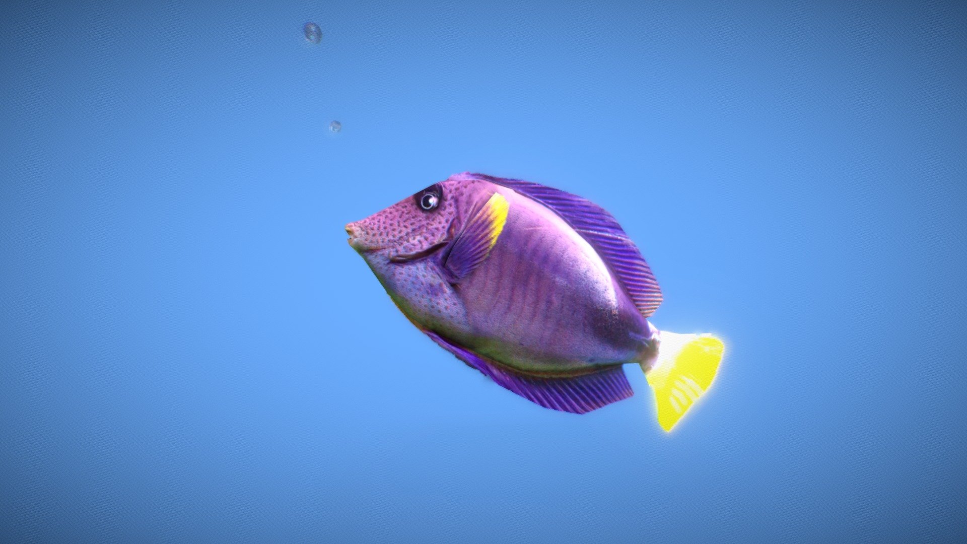Tropical Fish Acanthurus Xanthopterus - Download Free 3D model by mRiot ...