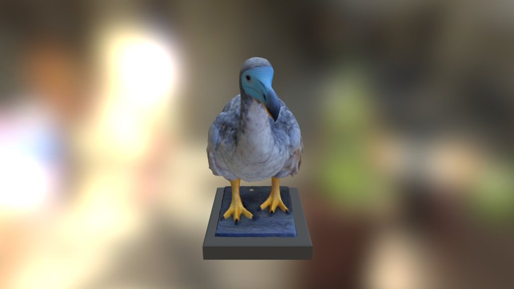 dodo-model - 3D model by pengo [5d47eab] - Sketchfab
