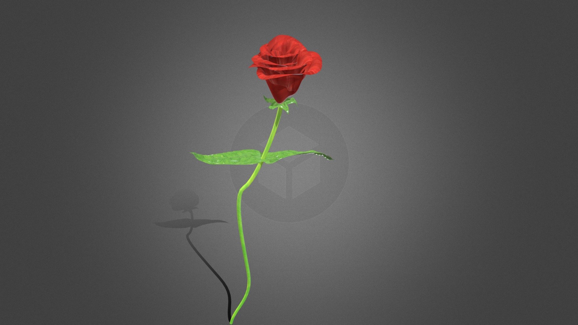 Rose - Download Free 3D model by symension123 [5d4ad32] - Sketchfab