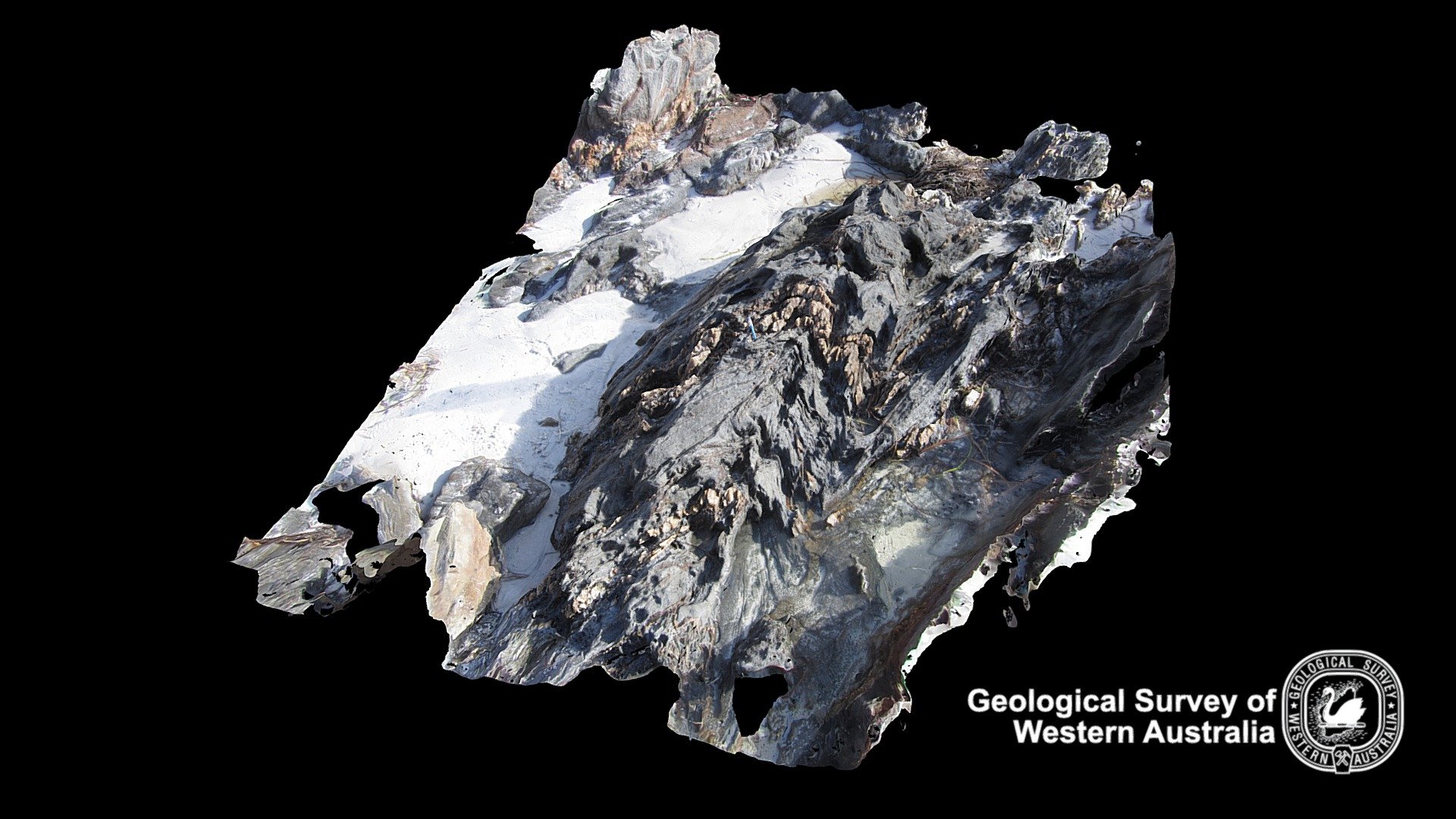 Folded pelitic schist - Point Ann - Download Free 3D model by ...