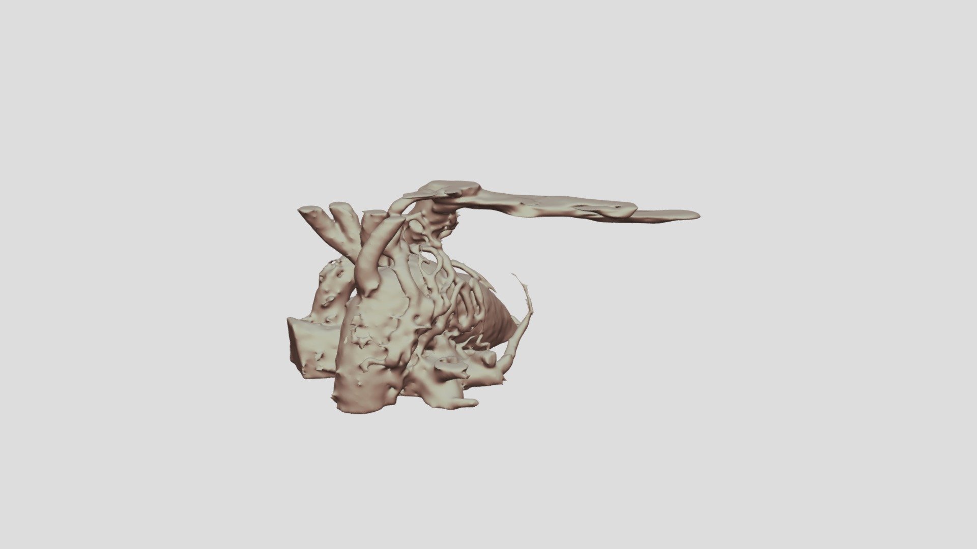 Seg - 3D model by yarden.m [5d4ed41] - Sketchfab