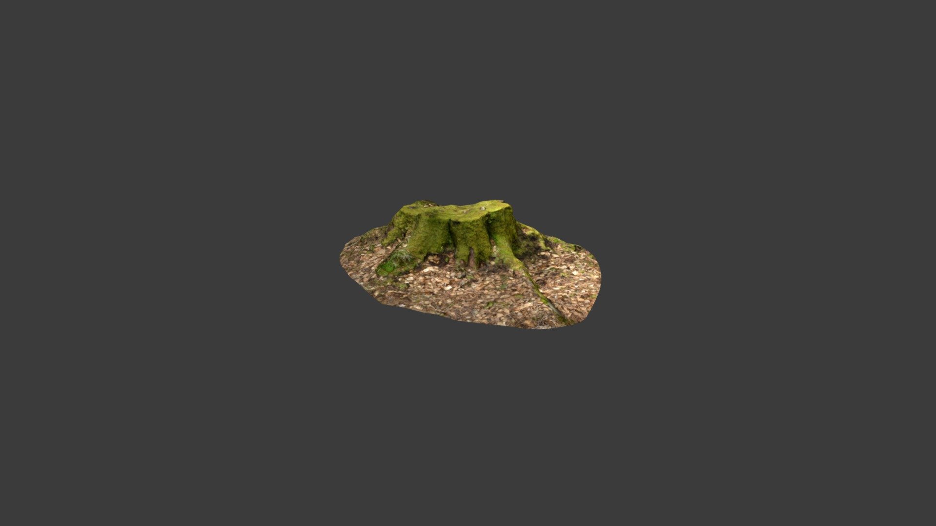 Root_02 - Download Free 3D model by Dariesta [5d4facf] - Sketchfab
