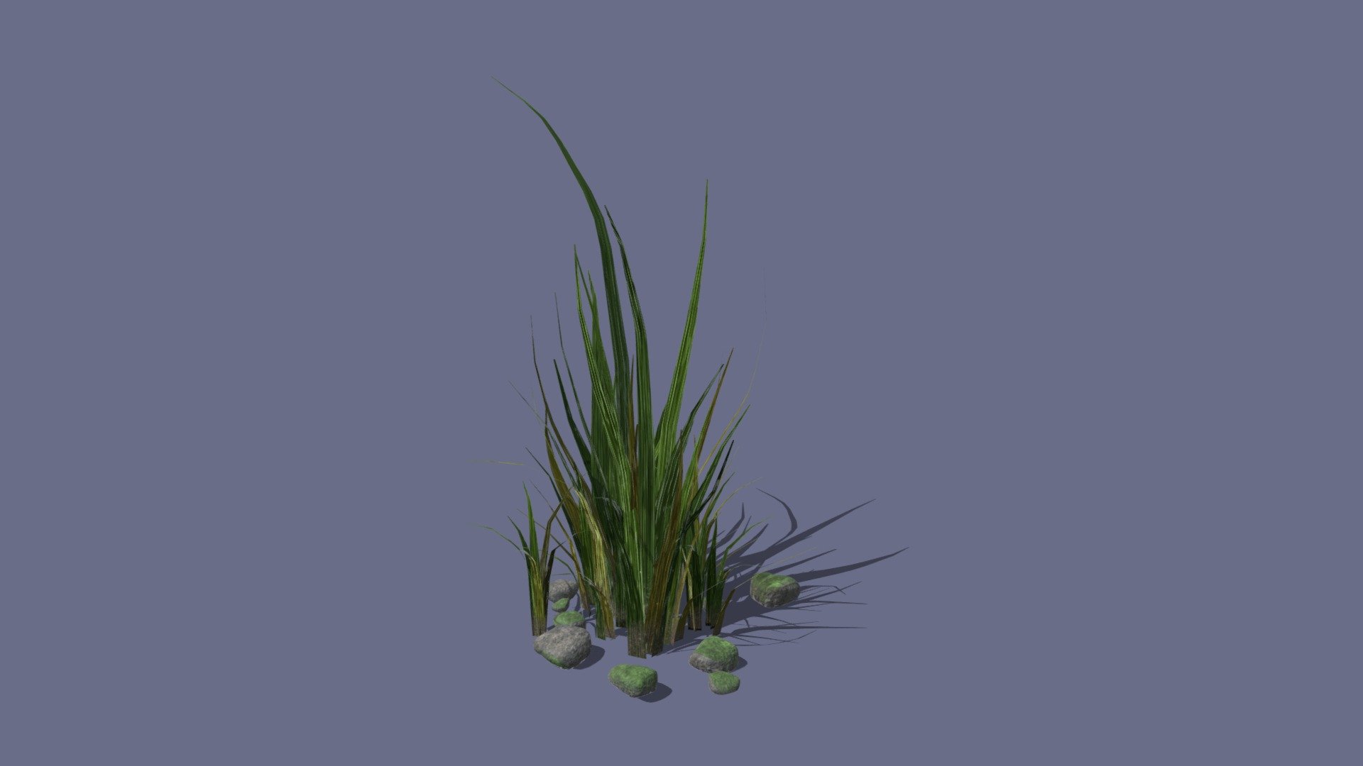 Tuff of Grass - WIP - 3D model by patricialeonardart [5d65a7d] - Sketchfab