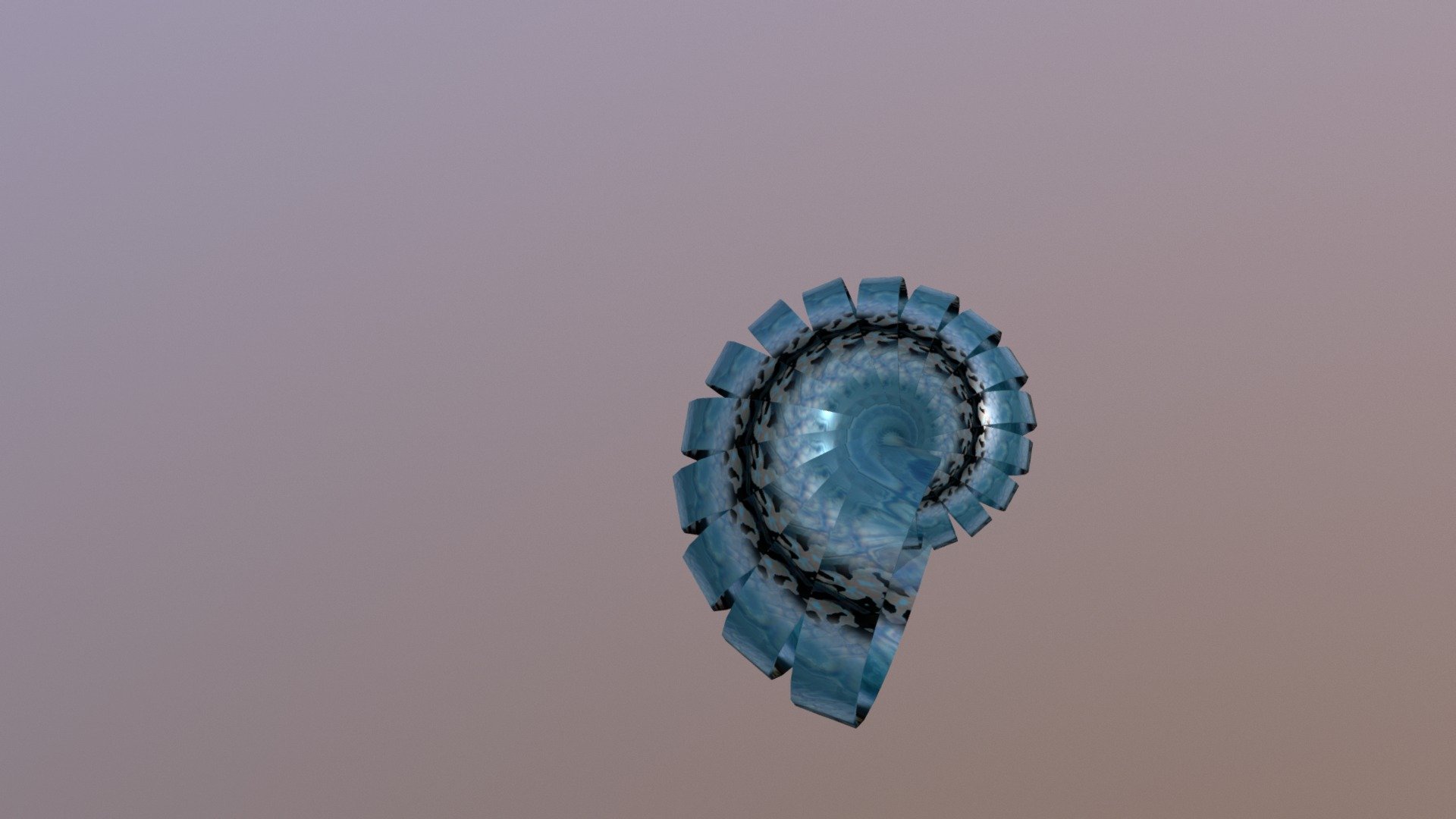 Gastropoda Shell - 3D model by nandu_nandy [5d68949] - Sketchfab