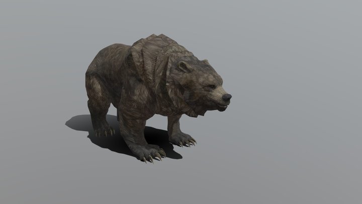 Bears 3D models - Sketchfab