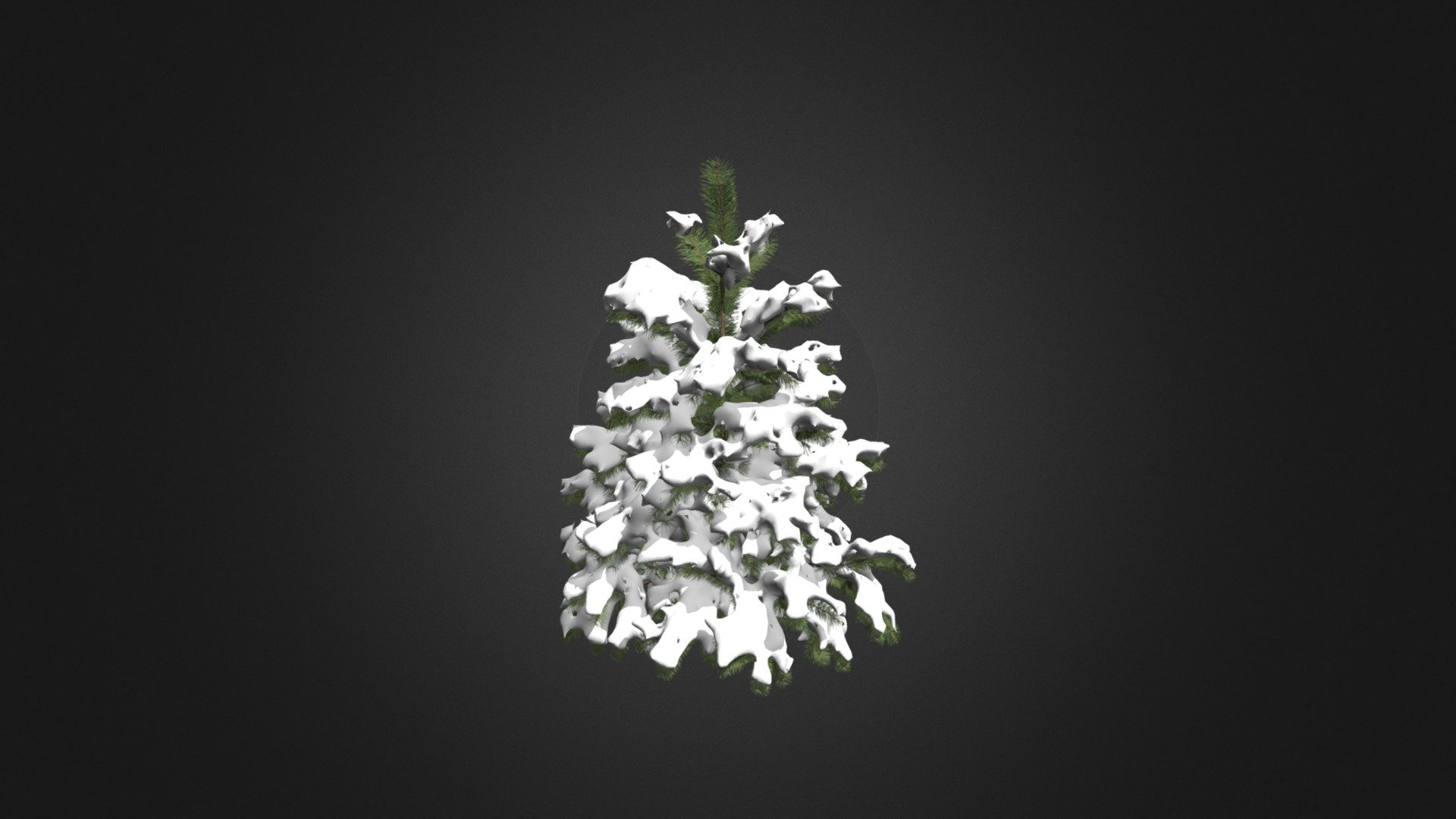 Pine Tree with Snow 3D Model 1.4m - Buy Royalty Free 3D model by cgaxis ...