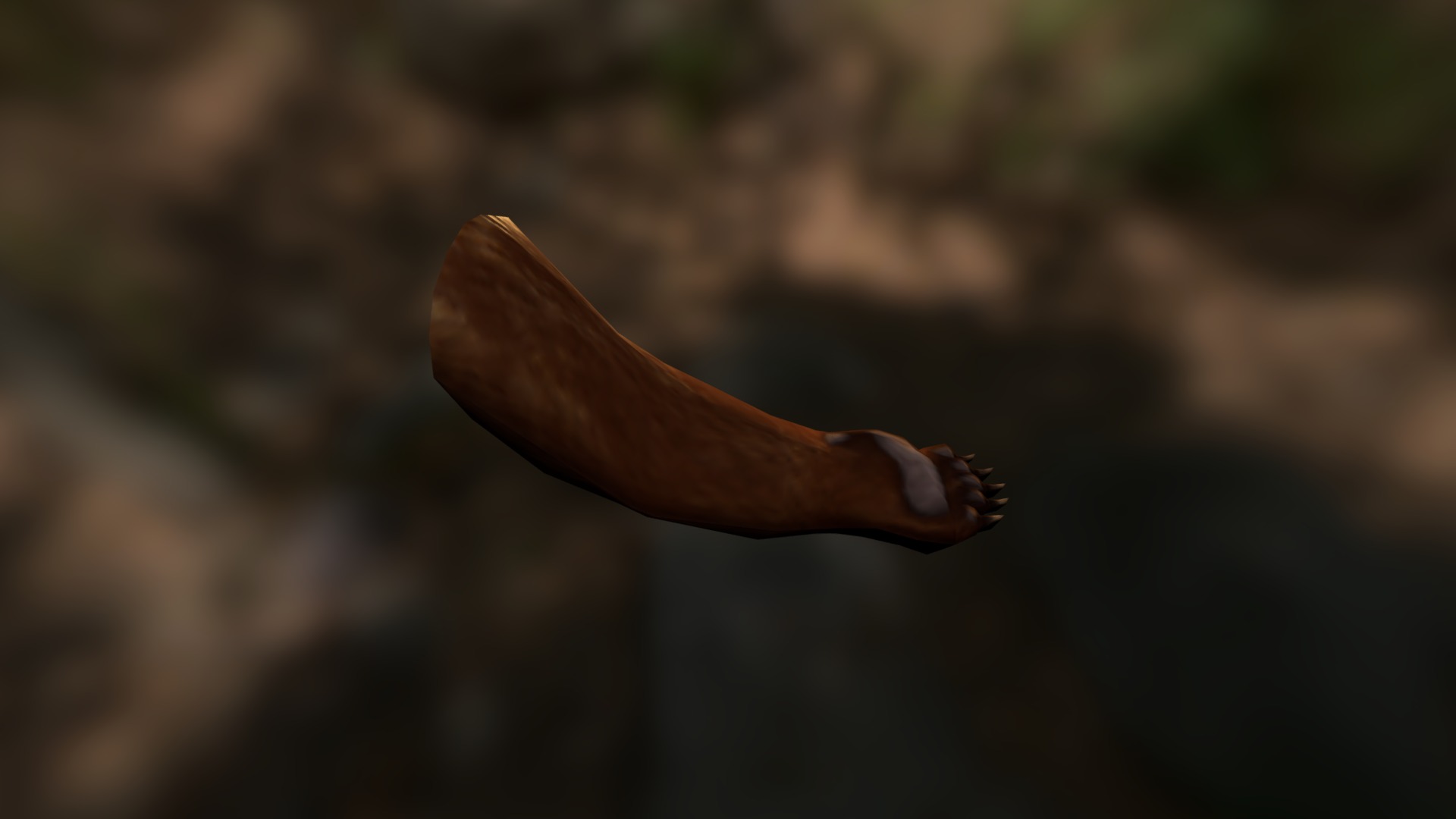 Bear Arm Model - 3D model by ChocoFries [5d78064] - Sketchfab