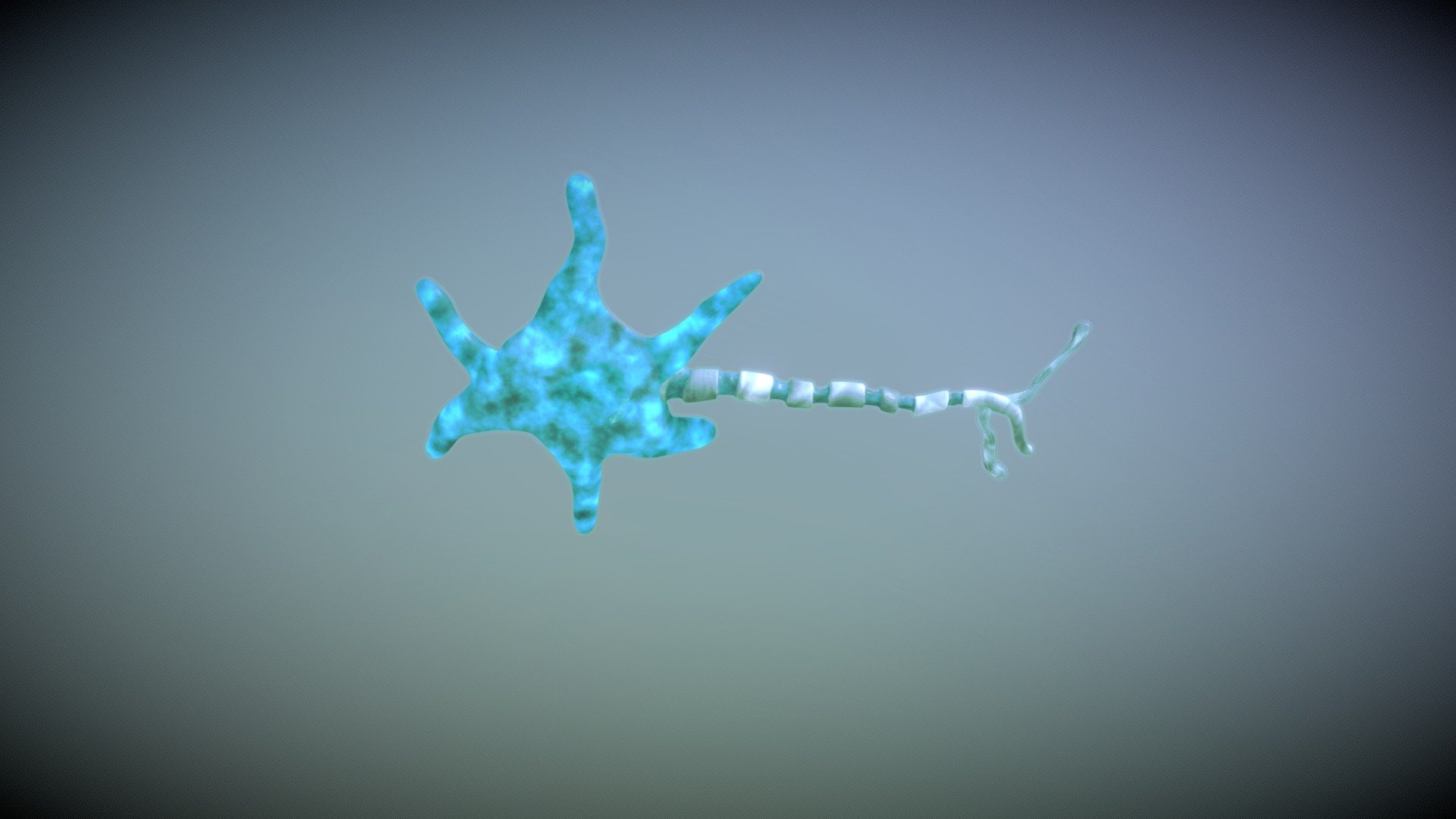 Neuron - 3D model by RCPSG Heritage (@rcpsgheritage) [5d7bcd7] - Sketchfab