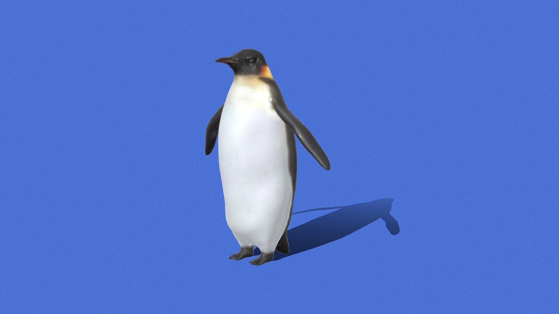 The Unknown Penguin - 3D model by 9noji9453 [5d83480] - Sketchfab