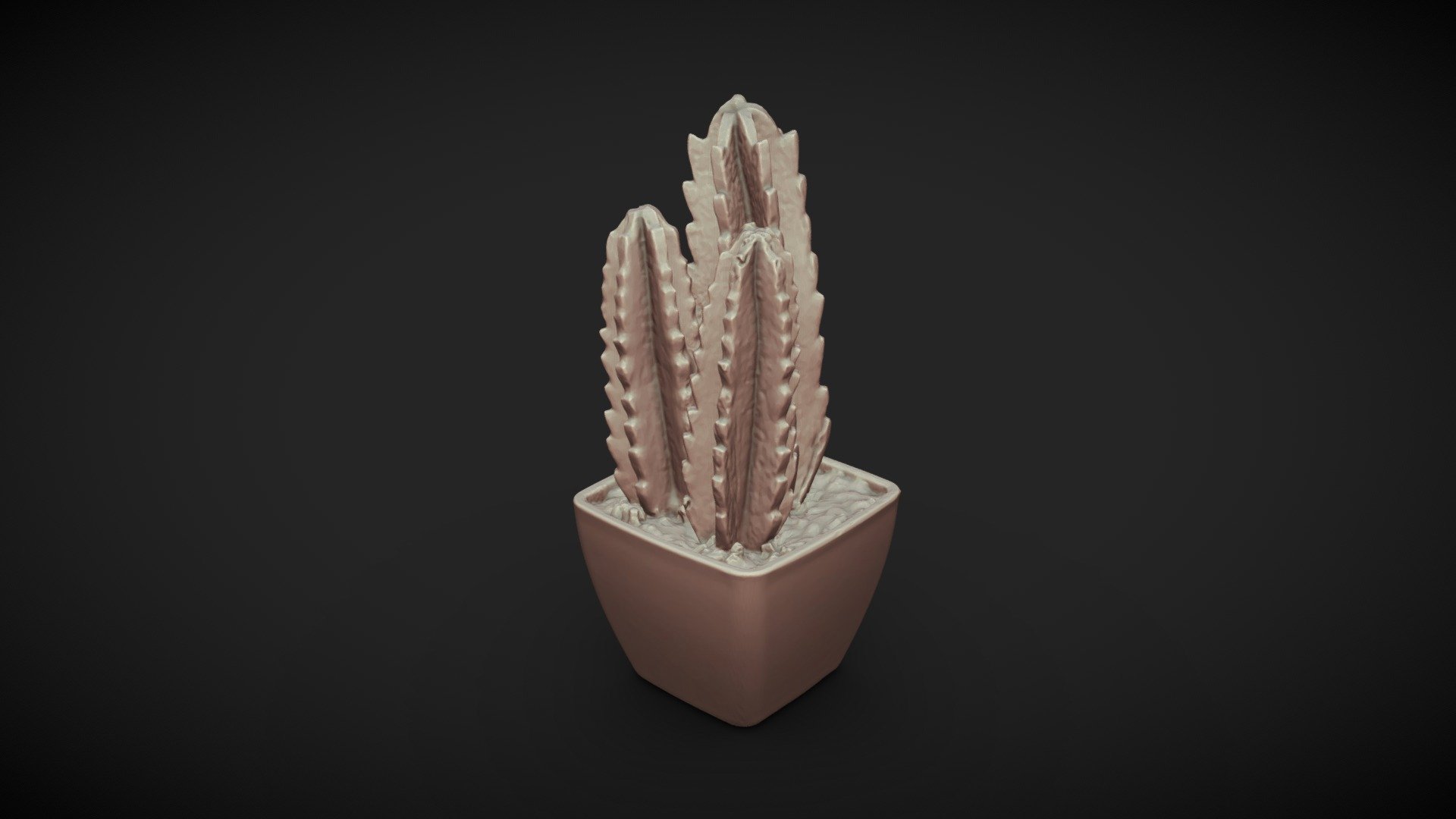 Cactus - 3D model by NuttyGearStudio [5d93921] - Sketchfab