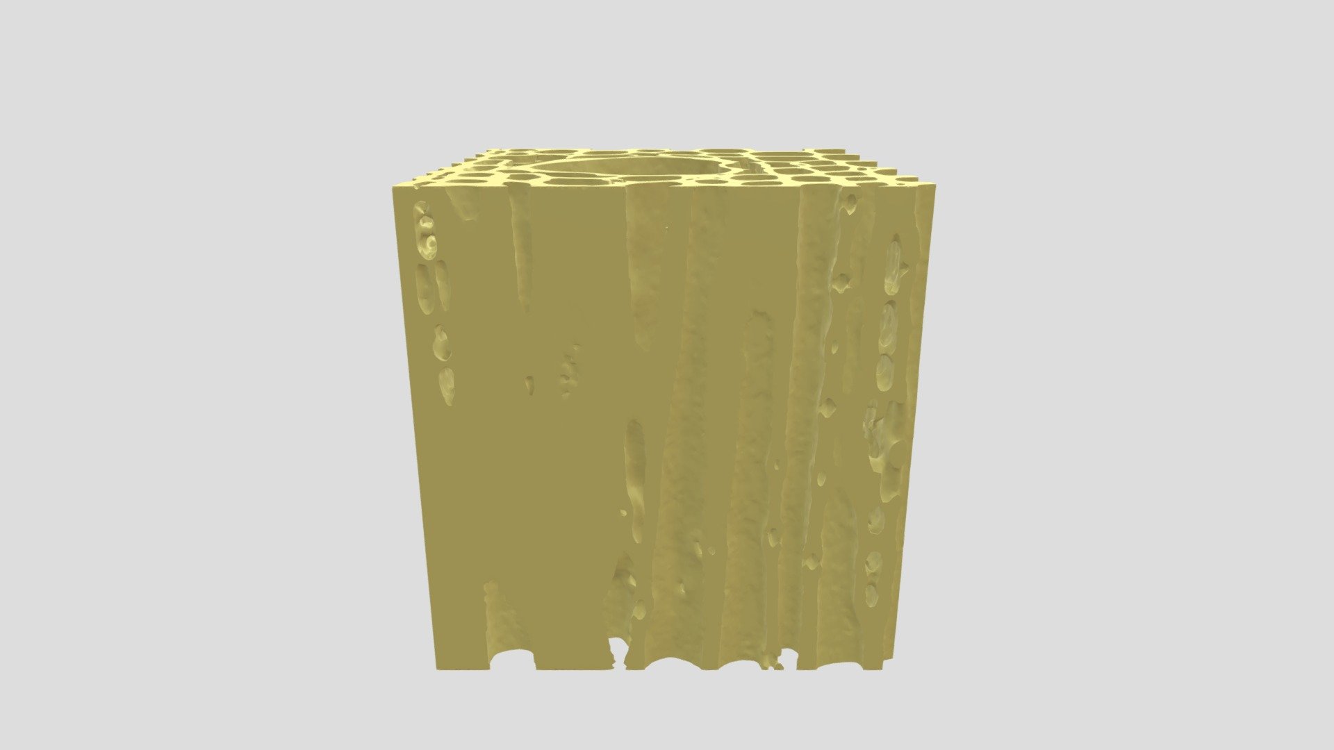 Pine wood: Resin canal - 3D model by tkodden (@Holzbio) [5d951c3 ...