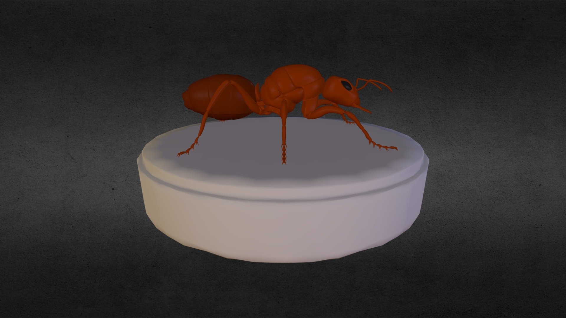 Ant - 3D model by Cowps3D (@cowpsie) [5d96193] - Sketchfab