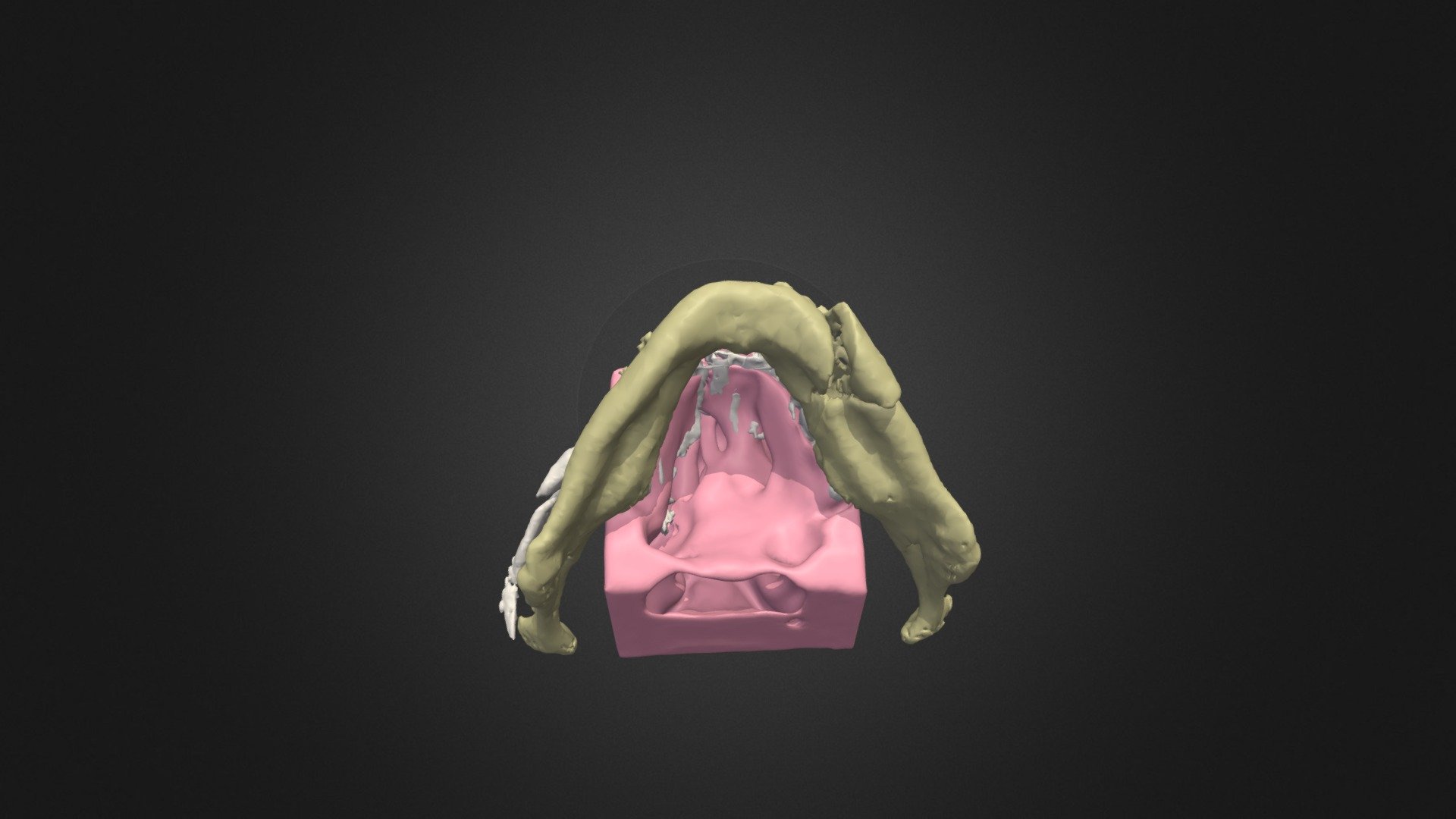 DC Mouth Combined - 3D model by Dara Walsh (@dara.walsh) [5d9a00d ...