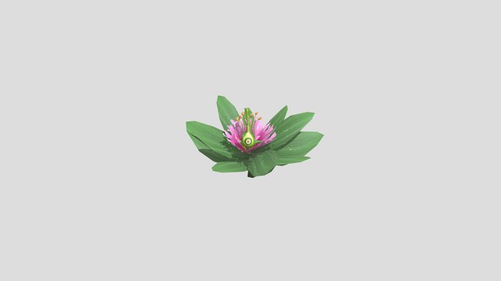 Bunga 3D models - Sketchfab