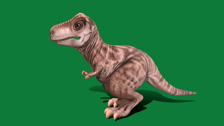 Dinosaur-baby 3D models - Sketchfab