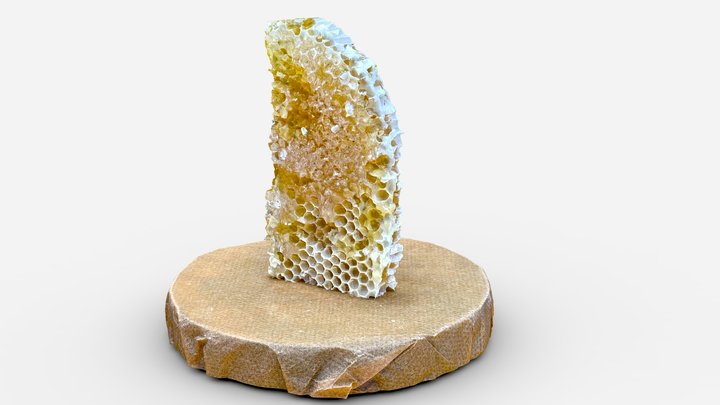Honeycomb 3D models - Sketchfab