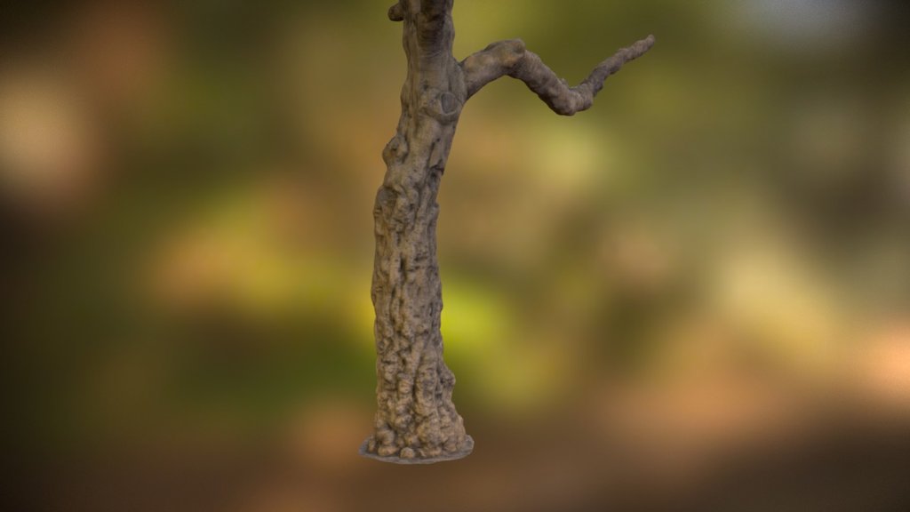 GnarledTreeMidPoly - 3D model by Quay Quay (@aceofquades) [5db4668 ...