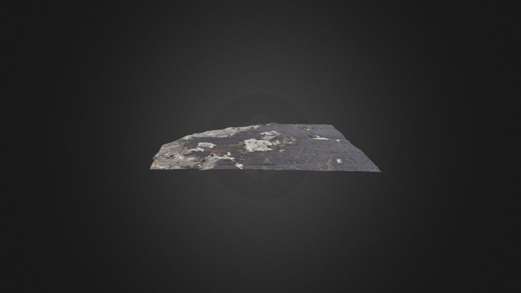 Rock 025 (detail 9, 2016, Canon 5D) - 3D model by Ughtasar rock art ...