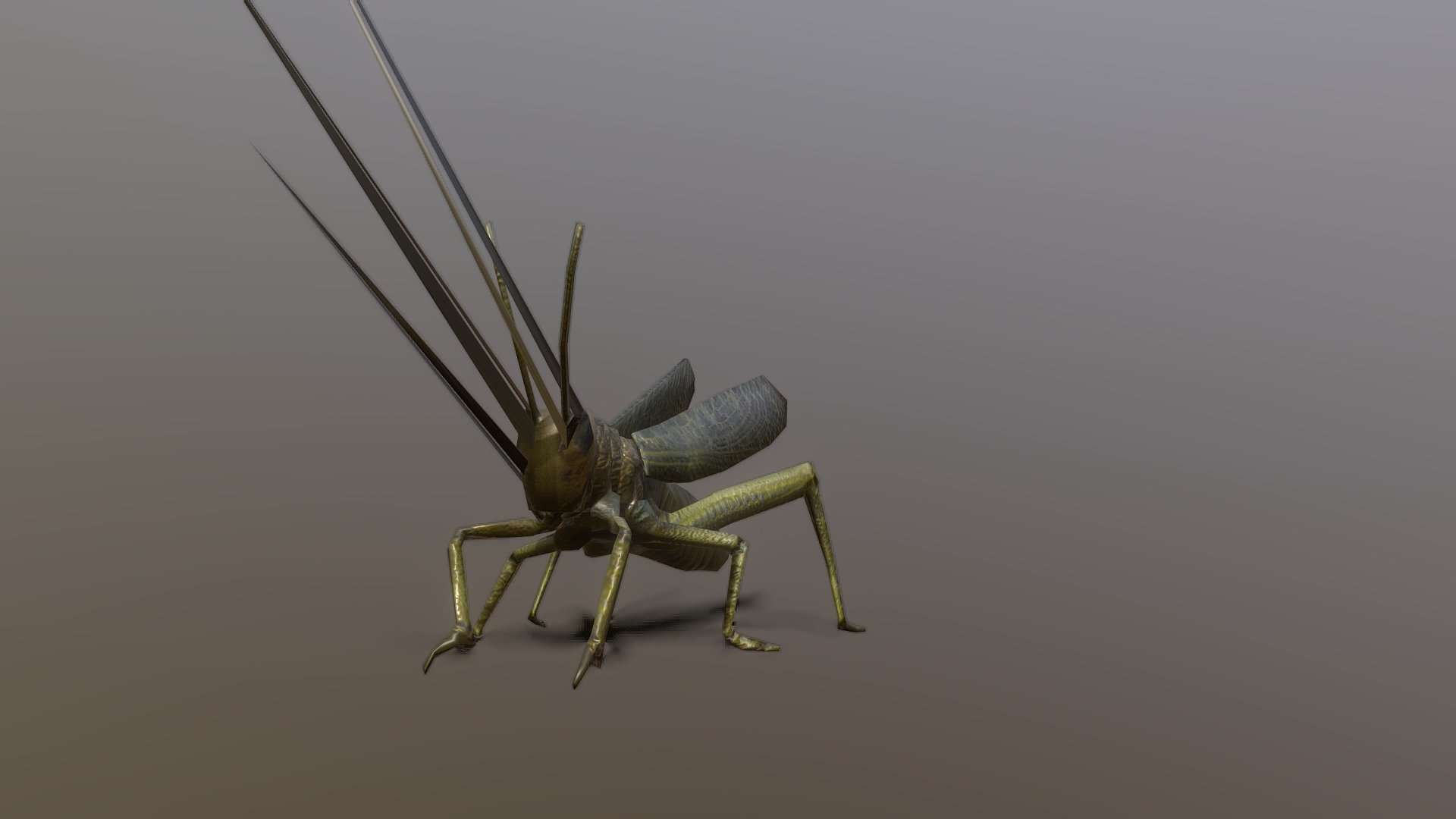Grasshopper - 3D model by ArachnoBoy (@vang807) [5dc1fab] - Sketchfab