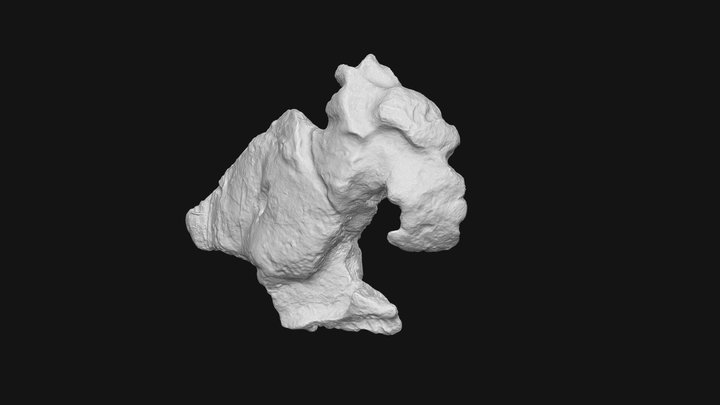 Fish-tank 3D models - Sketchfab