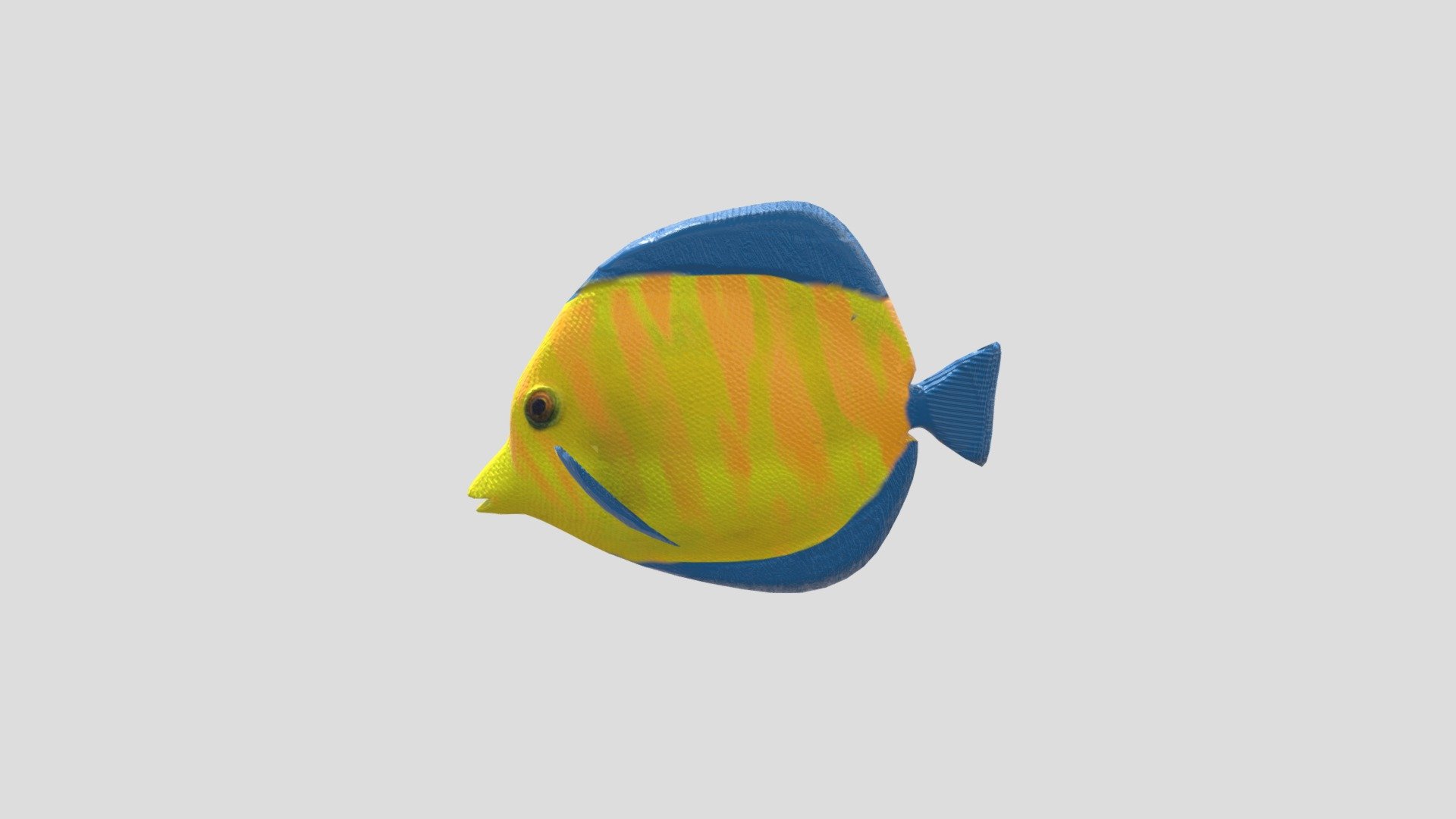 Fish - Download Free 3D model by tariqfuller [5dcadc1] - Sketchfab