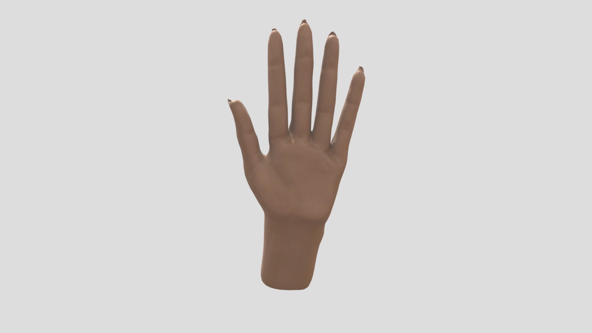Hand Model - 3D model by Mika (@amieka) [5dcb500] - Sketchfab