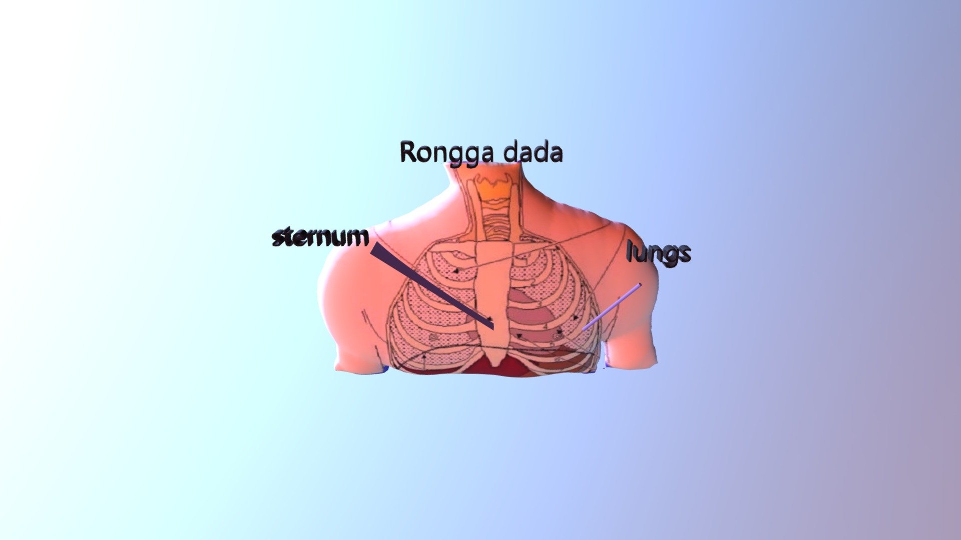 Rongga Dada - 3D model by noorlailahs [5dccdb2] - Sketchfab