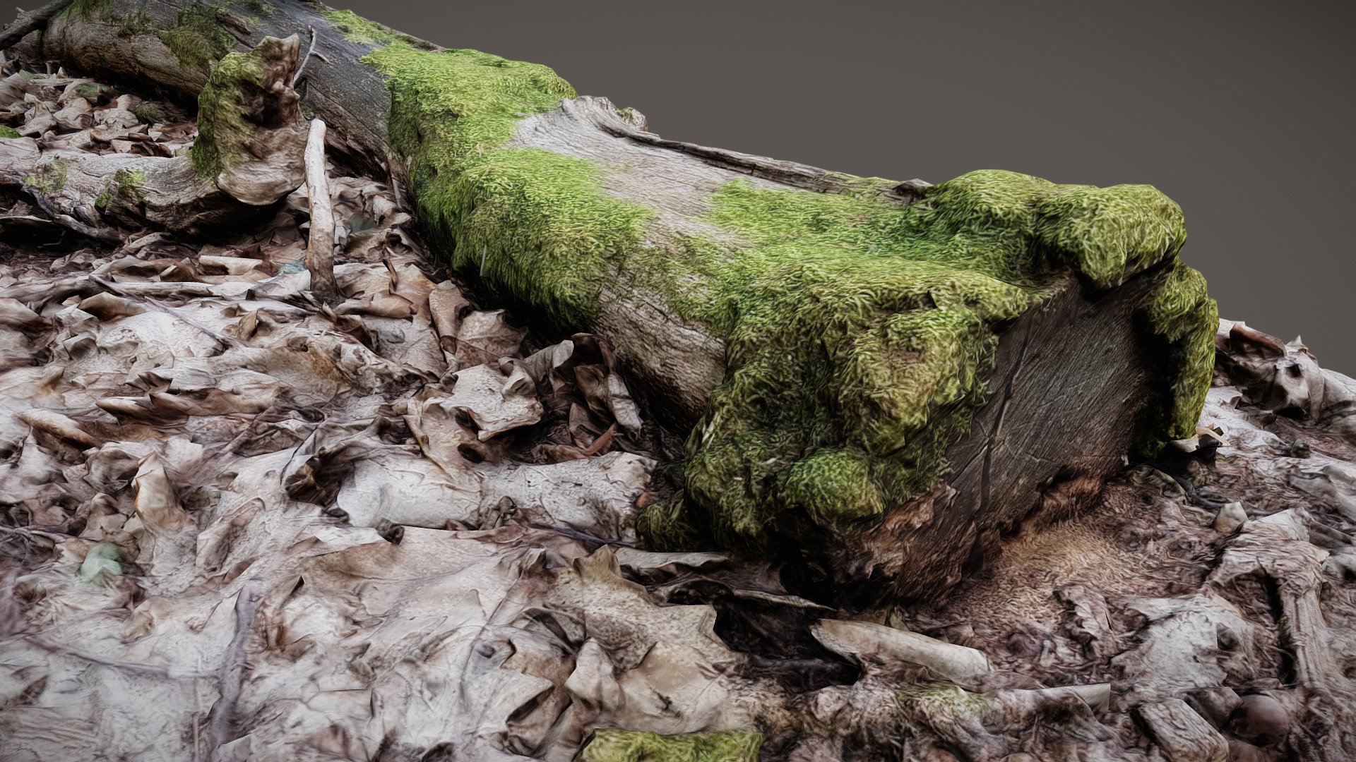 Tree Trunk - Download Free 3D model by pat123d (@pbormann123) [5dccdf9 ...