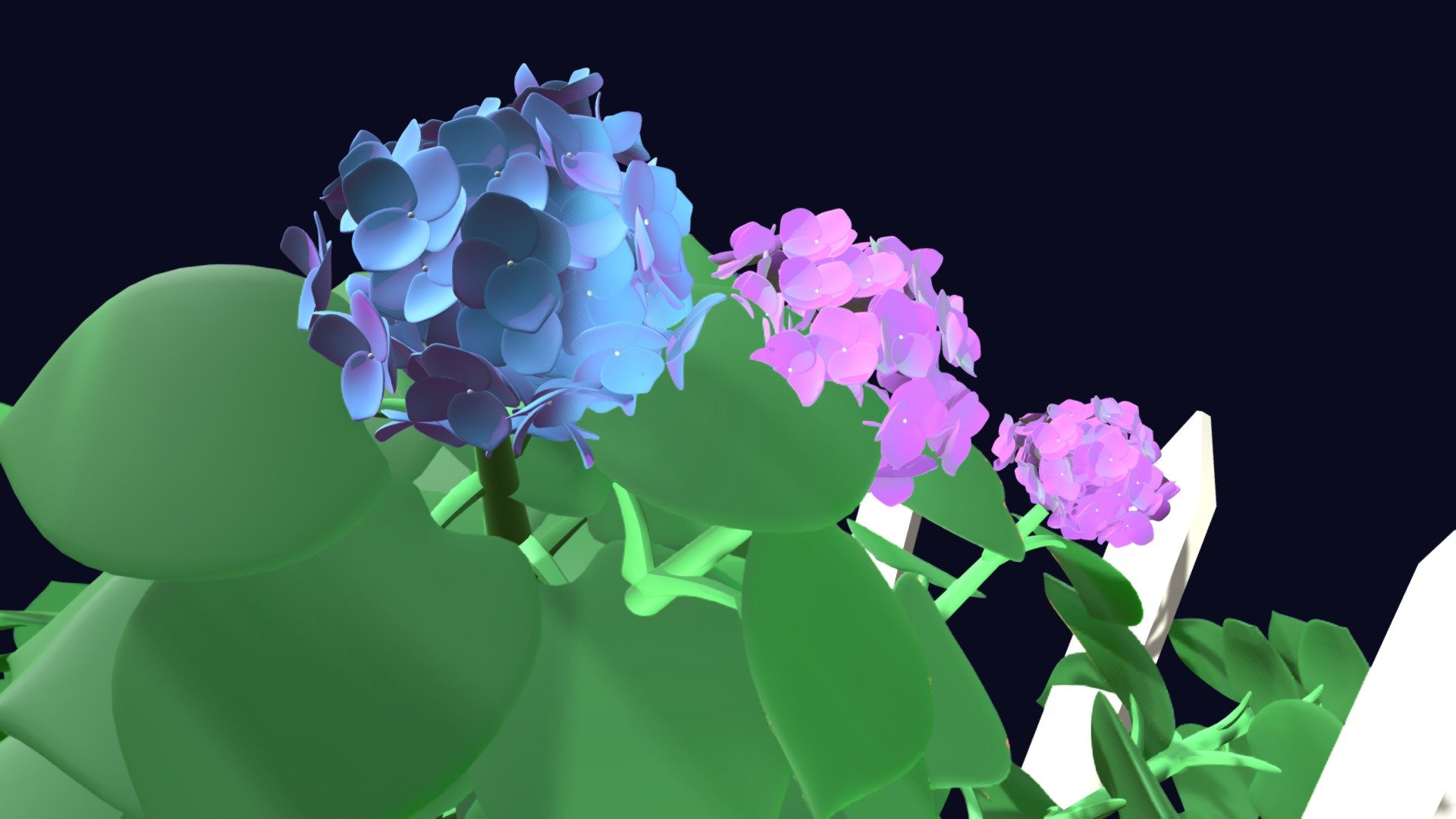hydrangea - Download Free 3D model by defiat11 [5dcf010] - Sketchfab