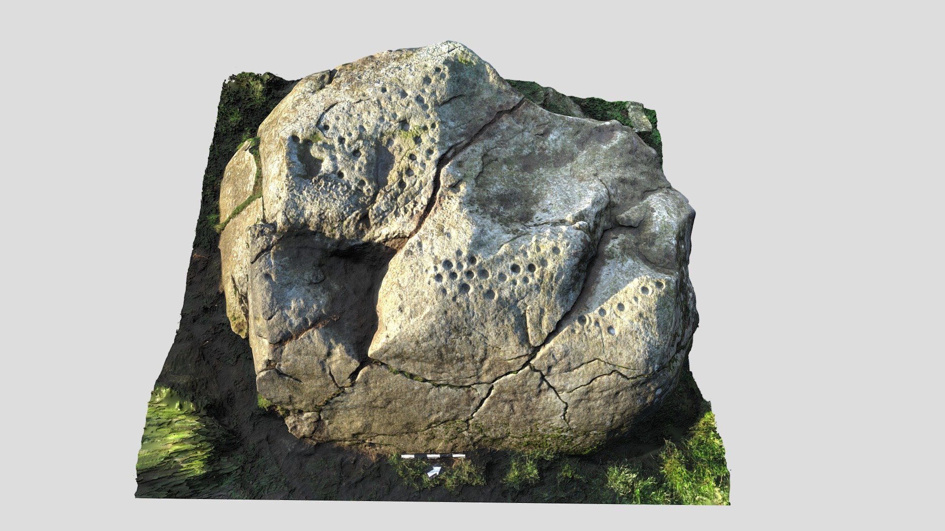 Avochie - 3D model by ARThompson [5dd5236] - Sketchfab