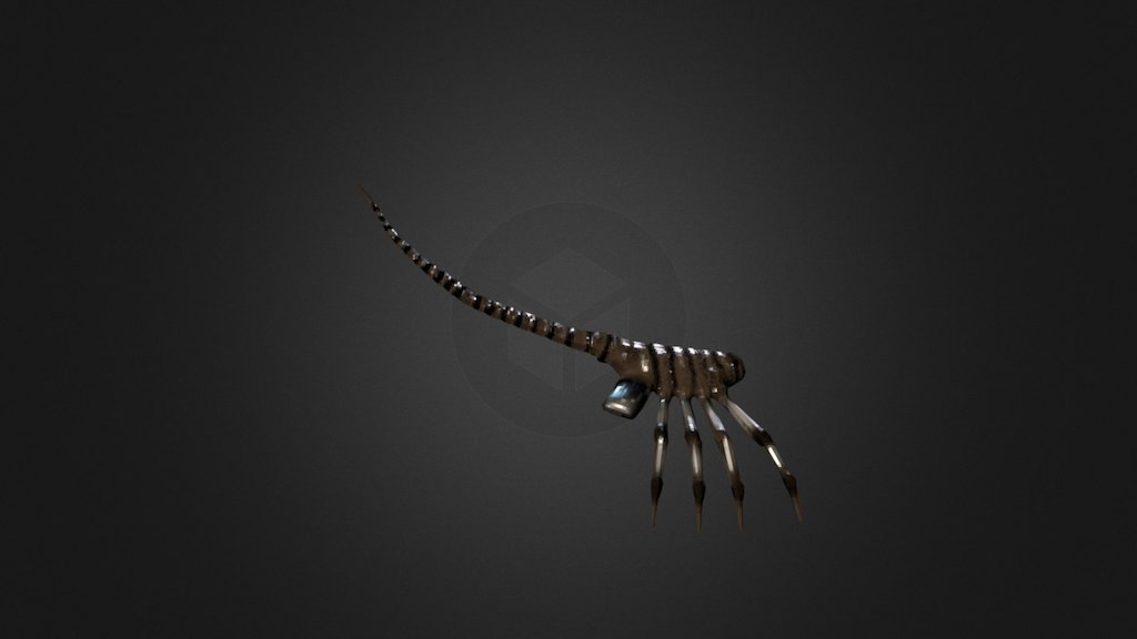Face Hugger SKETCH - 3D model by owls [5dd561e] - Sketchfab