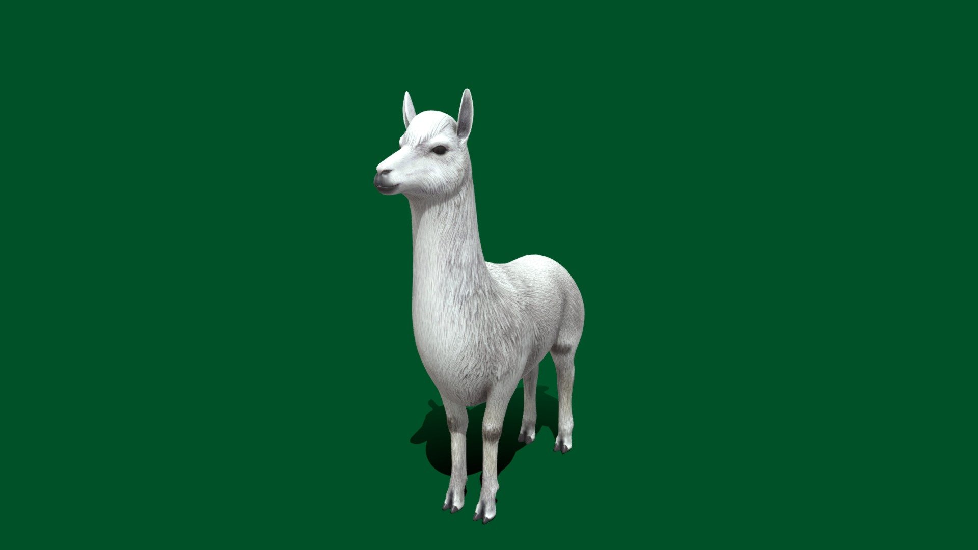 Alpaca (Non-Commercial) - Download Free 3D model by Nyilonelycompany ...