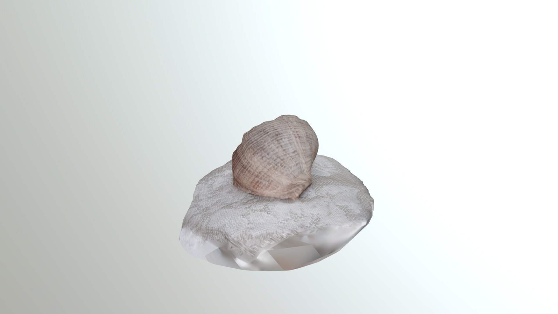 agate shell - 3D model by burhanesen [5de999d] - Sketchfab
