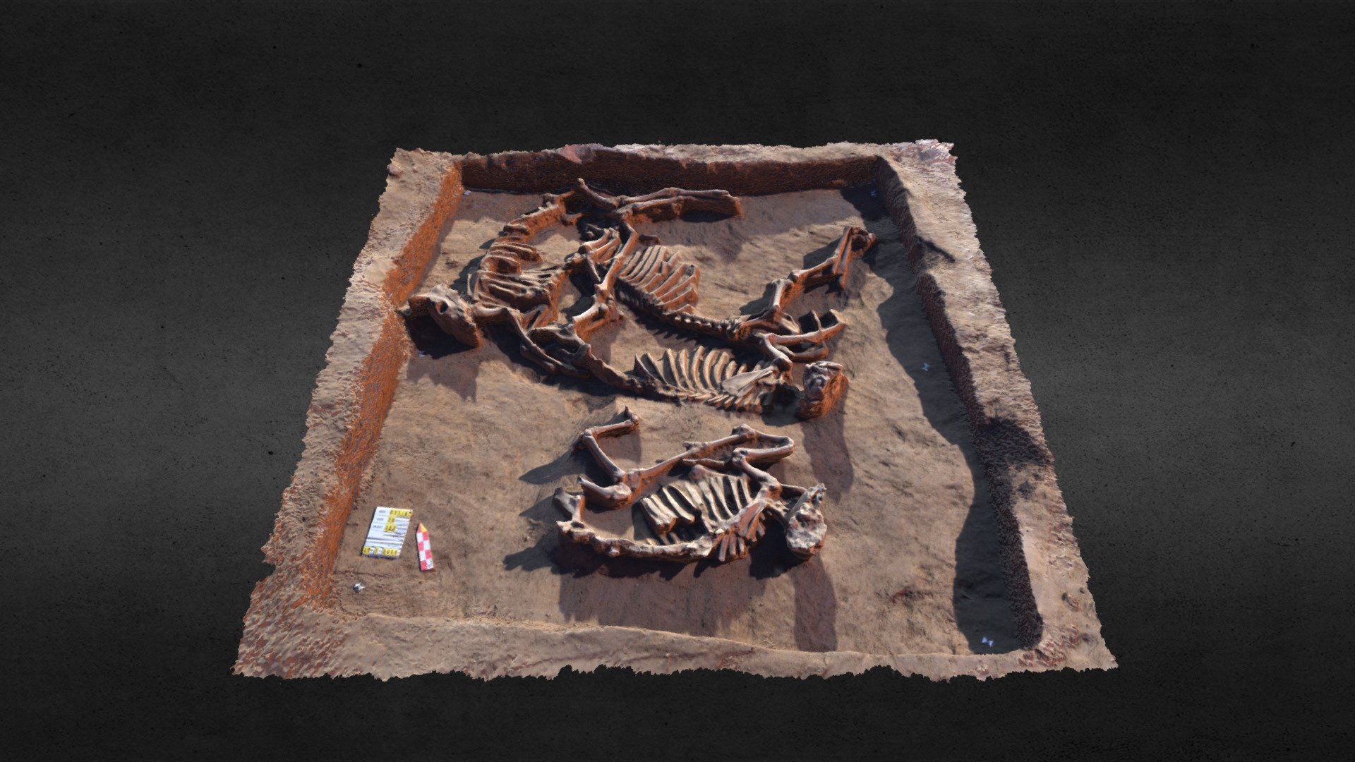 D11 07-2 obj 153 - 3D model by KARCH-FF-UHK [5ded376] - Sketchfab